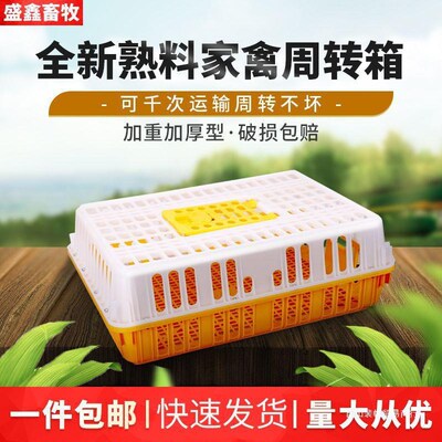 【量大从优】鸡笼周转箱家用大号加厚防摔养殖运输塑料鸡鸭鹅兔笼
