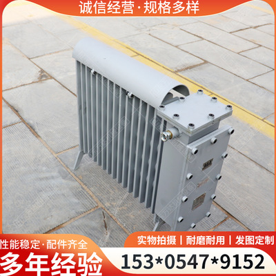 RB-2000矿用防爆电暖器 散热片水循环加热避难硐室用电加热取暖器