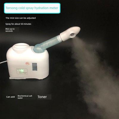 面部冷喷机抗过敏肌冷喷仪补水仪蒸脸仪家用冷喷补水喷雾仪蒸脸器