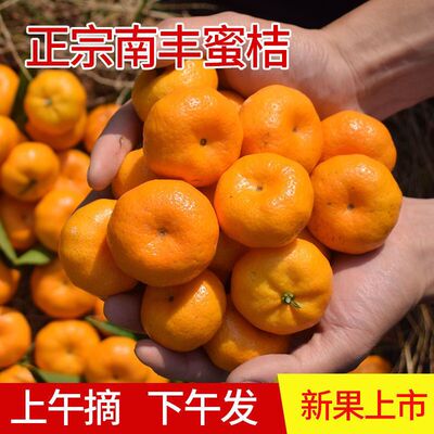 2026南丰蜜桔10斤5斤橘子新鲜水果当季现摘砂糖小桔子贡柑桔