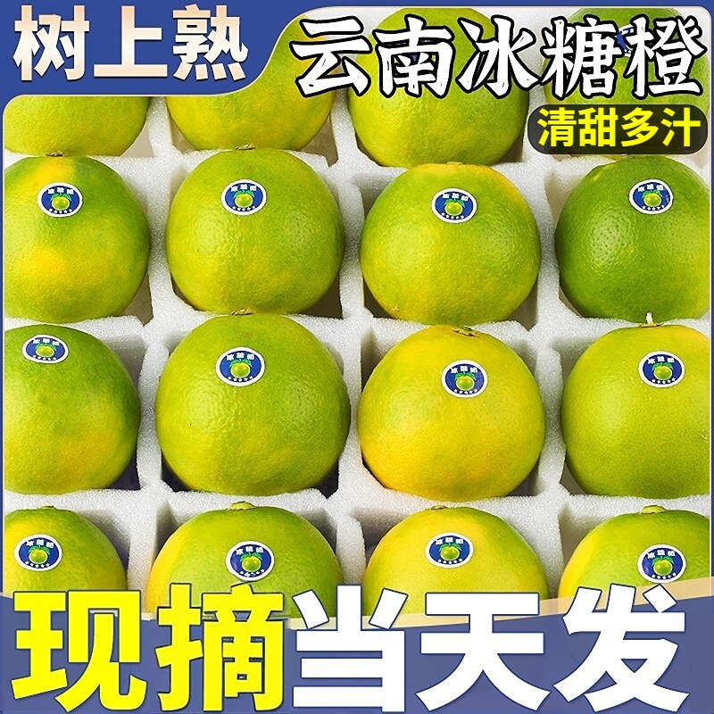 云南哀牢山冰糖橙子新鲜水果9斤当季孕妇褚甜青绿皮榨汁专用整箱5