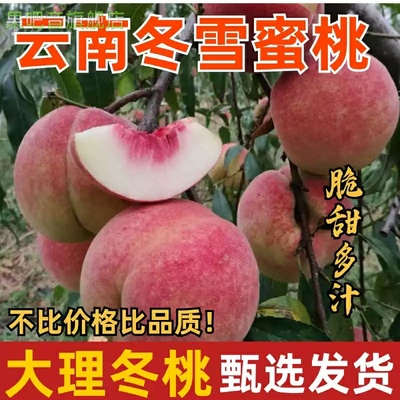 正宗云南冬桃新鲜应季水果脆甜5斤特大丑桃子现摘产地直发整箱