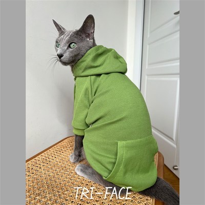 绿色卫衣 三角脸无毛德文阿比暹罗东短俄蓝豹猫春秋冬潮酷帽衫