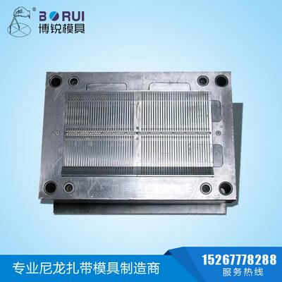 厂家直销专业制造热流道模具普通各种规格的尼龙扎带模具扎带模具