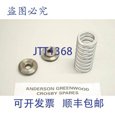 供应CROSBY SPARES 028821 X00799 CF20074S 控制器弹簧 X00