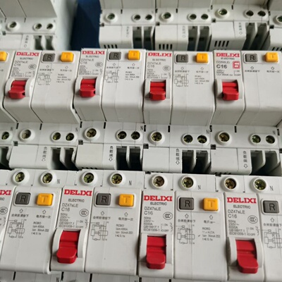德力西双进双出家用空气开关带漏电断路器DZ47PLE触电保-议价