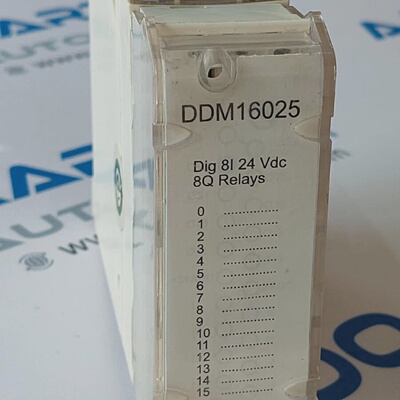 1PC Schneider Electric BMXDDM16025 DISCRETE IO MODULE with 8