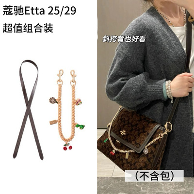 适用2025新款寇.驰Etta2529包包配件替换斜挎包带装饰链条组合装