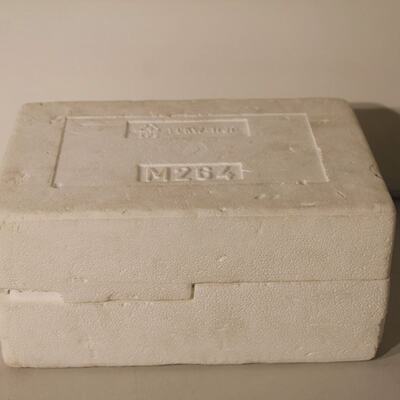 BR M2NTCP330 NTCP33 Processor NEW