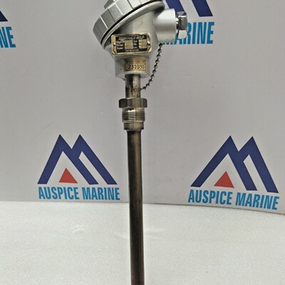 Lampadina Di Resistenza Daeyoung Tipo S 231030 600C