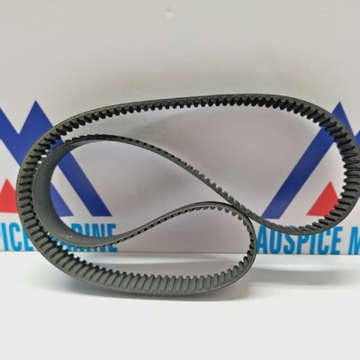 Boston Slicer Htd 9355M25 Timing Belt