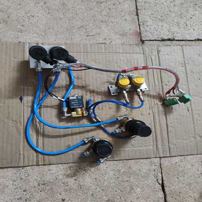 询价意大利EUROSWITCH41V10G12MDKL34