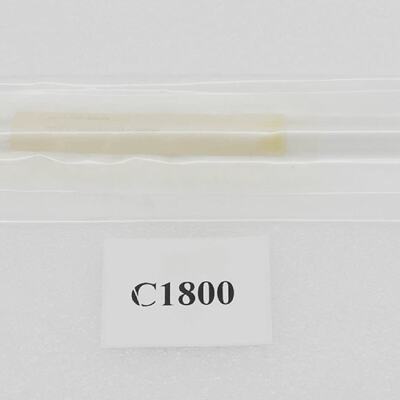 C1800 ASM QUARTZ SHAFT SUSCEPTOR 300MM NEW 16175588C01