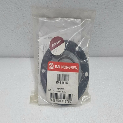 IMINorgren20AG-X4-100RepairKit