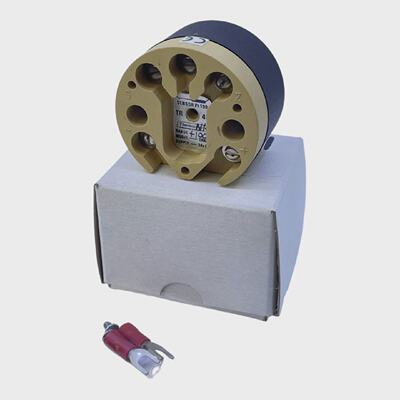 Transmisor De Temperatura ROTOTHERM TR48R 24V DC