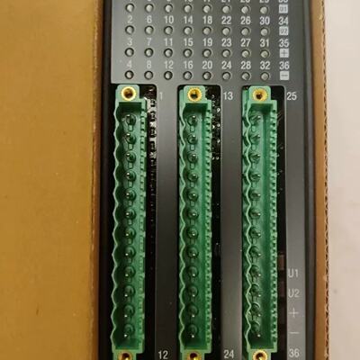 巴赫曼DIO232模块，32位数字输入/输模块。支持24—议价