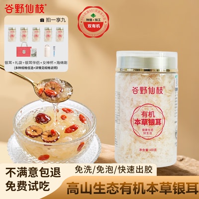 谷野仙枝本草银耳种植生产双有机