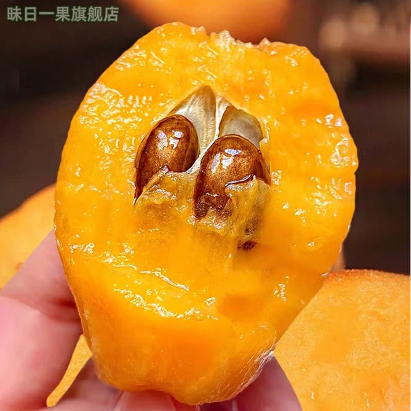 枇杷新鲜大果5斤当季新鲜水果福建琵琶批杷整箱3