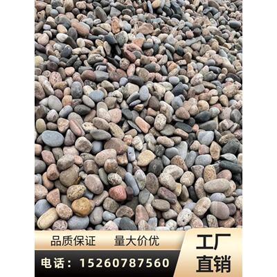 广东鹅卵石变压器5-8河卵石水处理过滤 园林景观大型50公分河滩石