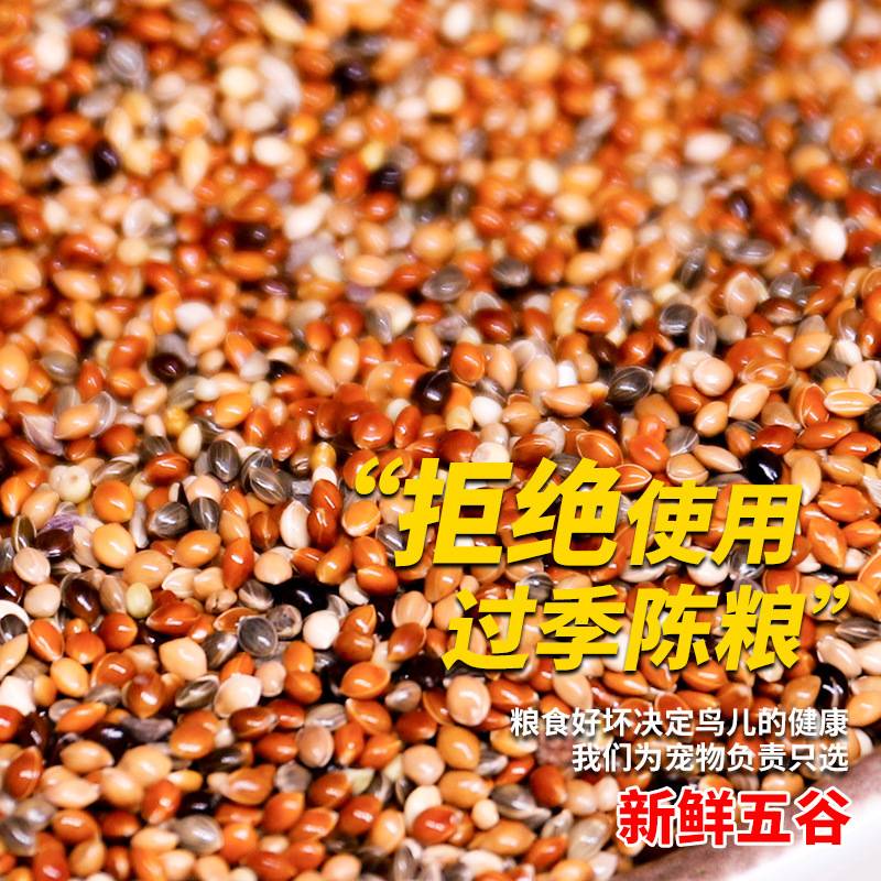 鸟粮虎皮牡丹玄凤中小型鹦鹉鸟食饲料五色黍子鹦鹉混合粮谷子粮食