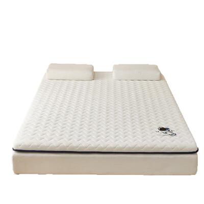 4.20.0.夏凉藤席席两用印花床凉垫单人租房冬褥夏用床垫两宿舍床