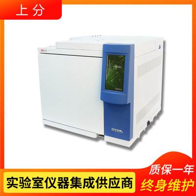 上海上分GC112N气象色谱仪（FID+TCD）