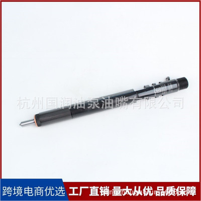 德尔福喷油器EJBR04601D双龙路帝