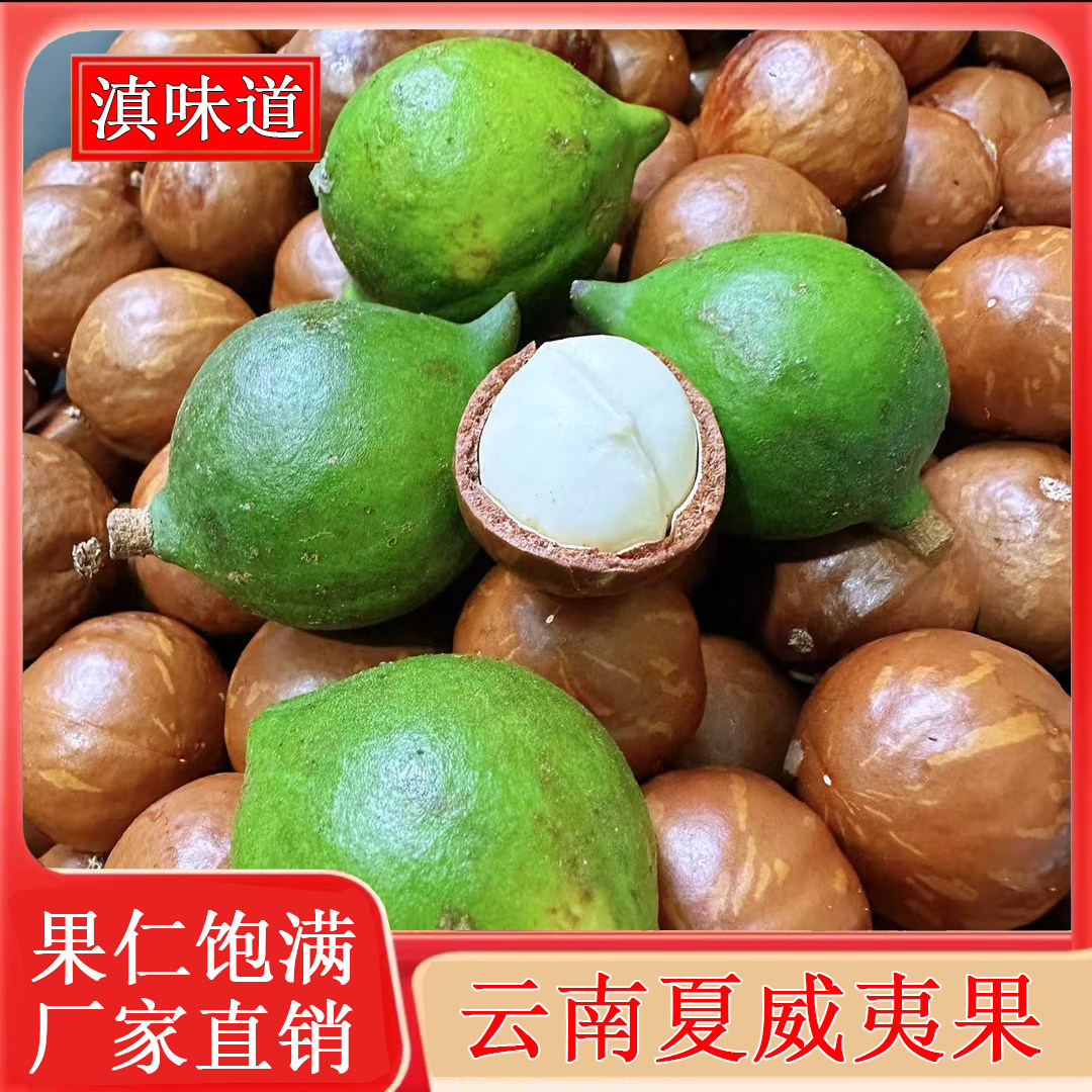 2026云南夏威夷果新鲜生坚果干果原味散装袋装孕妇儿童可食
