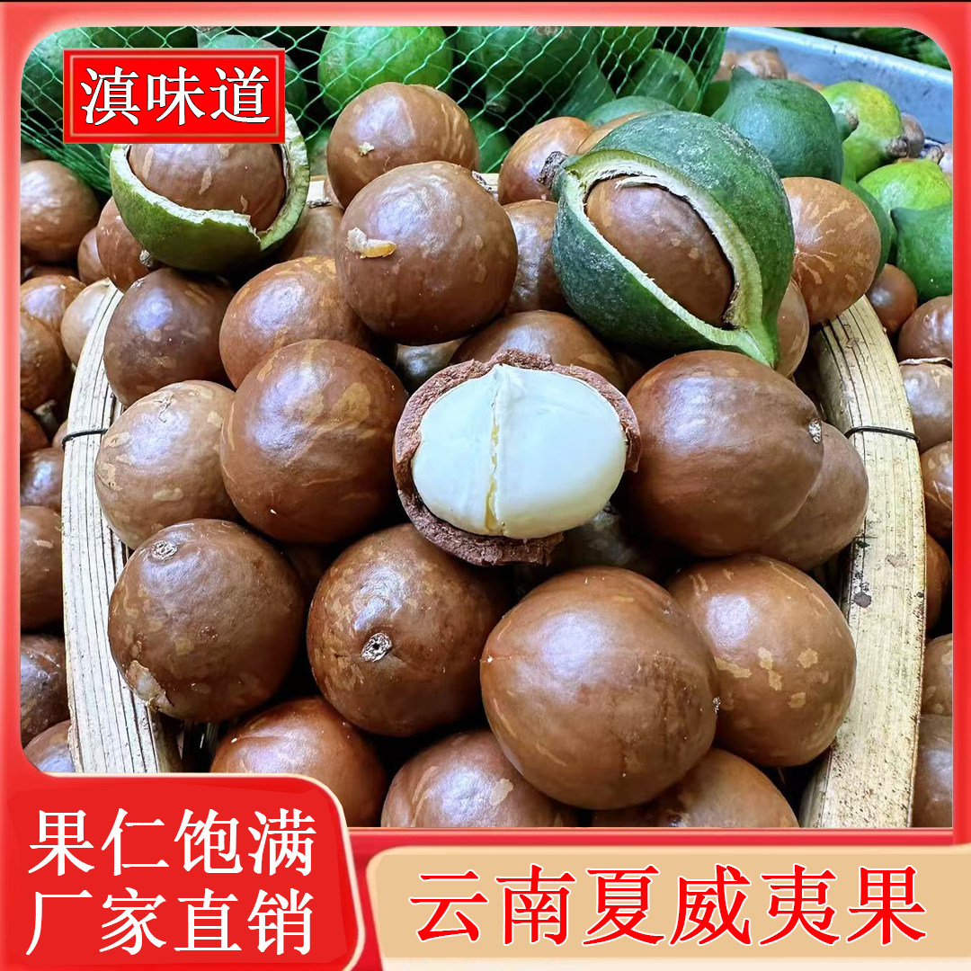 云南新鲜夏威夷果原味不开口澳洲坚果清甜味宝妈孕妇坚果