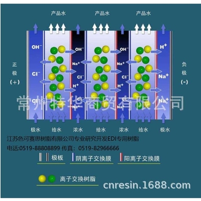 EDI装置将色可赛思离子交换树脂充夹在色可赛思阴/阳离子交换膜