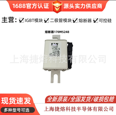 快速熔断器巴斯曼170M5248规格齐全电子元器件