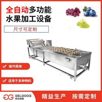 提自动洗果机红VWL 喷淋气泡式青提器连续清洗设备 子提子清洗机