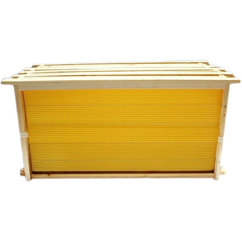 巢框中蜂蜂巢巢础成品带框全蜂巢框蜂蜡意脾蜜蜂箱养蜂工具蜂具