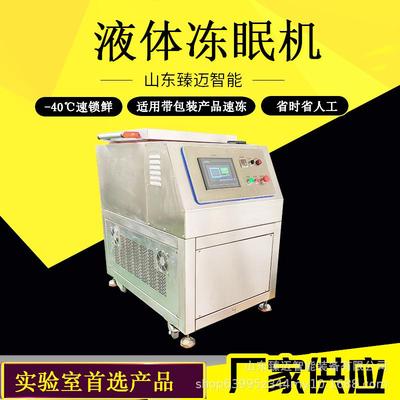 液体速冻机零下40度冻眠锁鲜机带包装产品快速冷冻设备冻眠锁鲜机