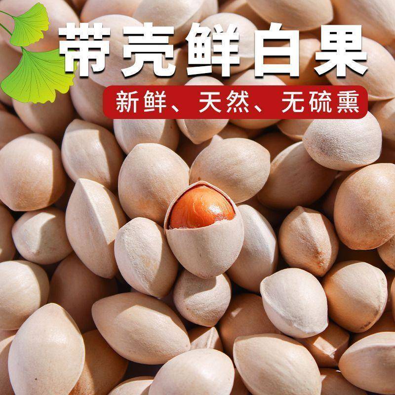 2025年新鲜白果子银杏果生百果仁无漂白带壳白果徐州邳州特产