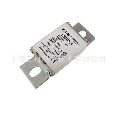 全新原装快速熔断器保险丝170M1753 170M1754 170M1755 170M1756