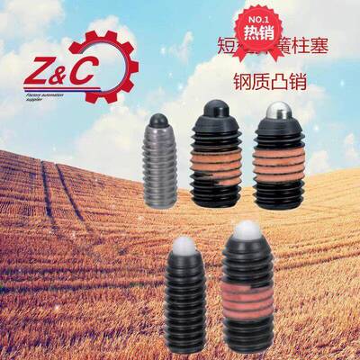 ZAP63-M4 弹簧柱塞短型弹顶销 定位销ZAP64-M4/M5/M6/M8/M10M/12