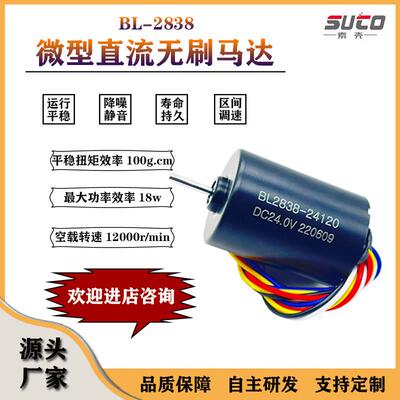 BL2838 微型直流无刷减速电机 12V24V内置驱动 385无刷小马达电机