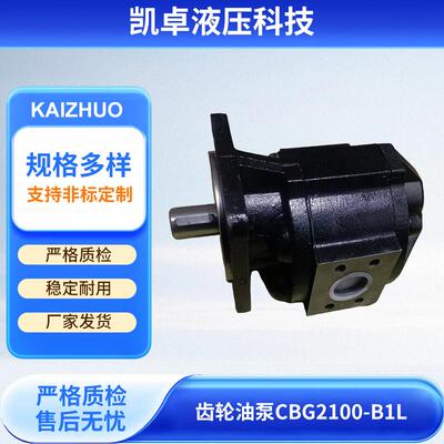 齿轮油泵CBG2100-B1L厂家供应耐用单联液压齿轮泵工程机械齿轮泵