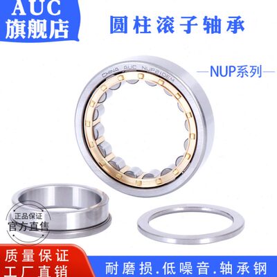 AUC圆柱滚子轴承NUP204 205 206 207 208 209 EM