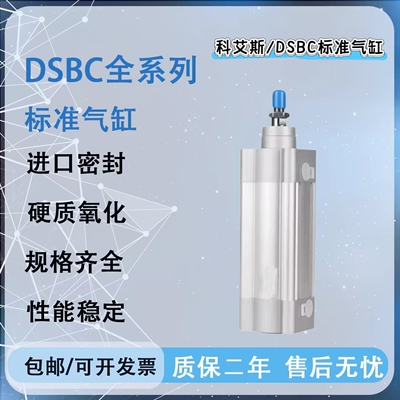 DSBC32/40/50/63/80*25-50PPV-S6