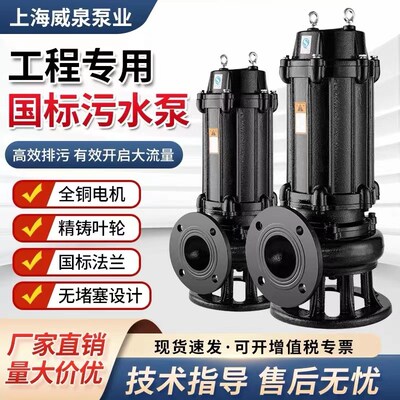 潜污泵WQQW排污泵化粪池集水坑污水提升泵污水泵高大杨程