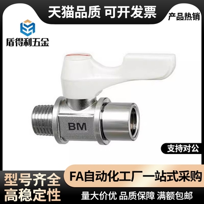 BBHRS11/BBRCS22/33c-BBPH61 BBPH93 BBPH124-B W Y BL球阀