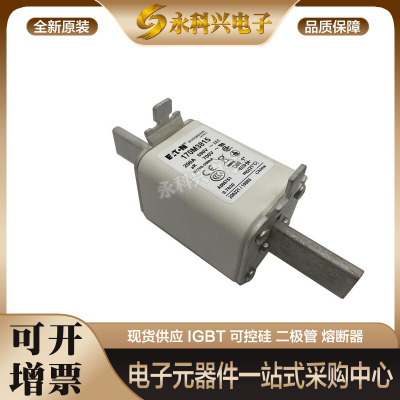 巴斯曼快速熔断器保险丝170M3814 3815 3816 3817 3818 3819 3901