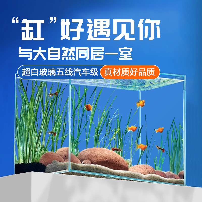 超白草缸鱼缸客厅小型裸缸造景南美原生溪流缸桌面生态乌龟缸鱼缸