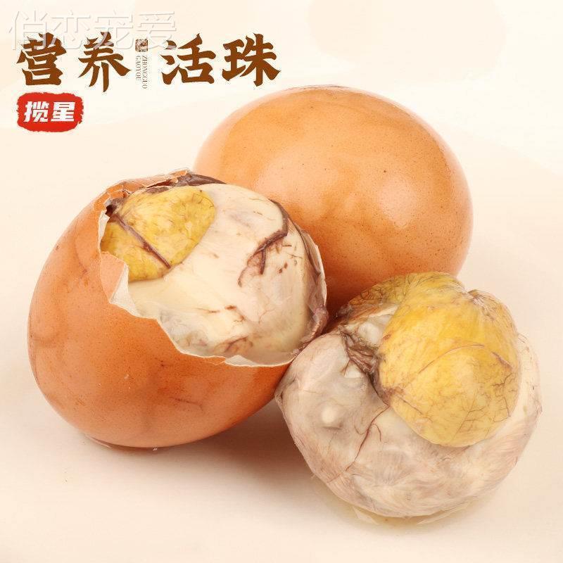 凤溪湖白壳五香13天新鲜活珠子鸡蛋熟鸡胚喜蛋毛鸡蛋包邮厂家