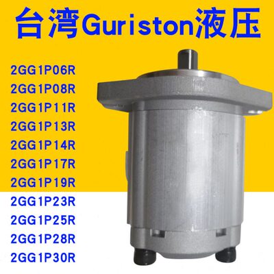 齿轮泵2GG1P06R/P08R/P11R/P13R/P14R/P19R/P23R/P25R/P28R/P30R