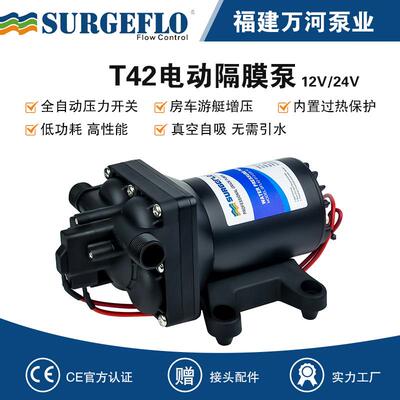 12v水泵3GPM小型农业灌溉水泵24v往复泵电动隔膜泵游艇餐车供水泵