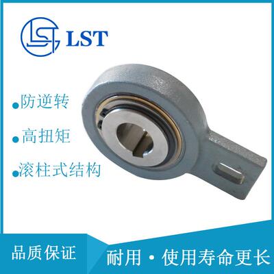 楔块式单向离合器RSBW20、GVG20逆止器用于提升机、输送机