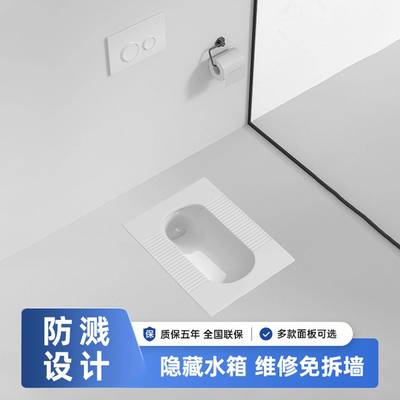 暗藏式入墙水箱陶瓷蹲便器一体黑色蹲坑防溅水蹲厕嵌入超薄大便池